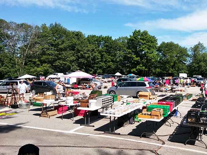 Welcome to treasure-hunting paradise where 13.5 acres of possibilities await your discovery and your wallet's demise.