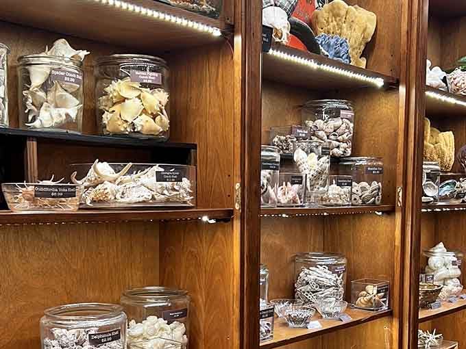 These jars hold more stories than your average pickle collection, and they're significantly more conversation-starting at dinner parties.