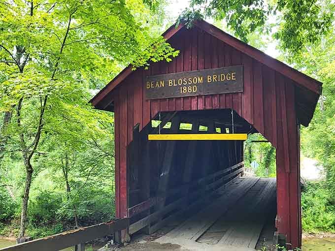 The entrance beckons like a portal to simpler times, minus the dial-up internet frustration.