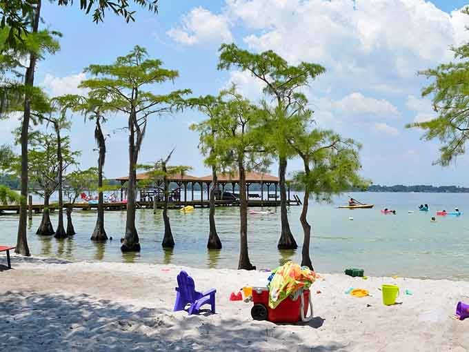 Those cypress trees standing in crystal-clear water like nature's own sentinels make this scene look positively enchanted.