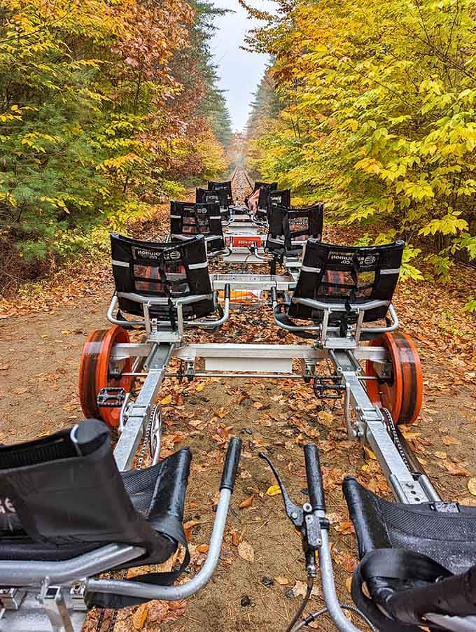 Fall foliage transforms into your personal tunnel of gold, proving autumn never looked better from a rail bike seat.