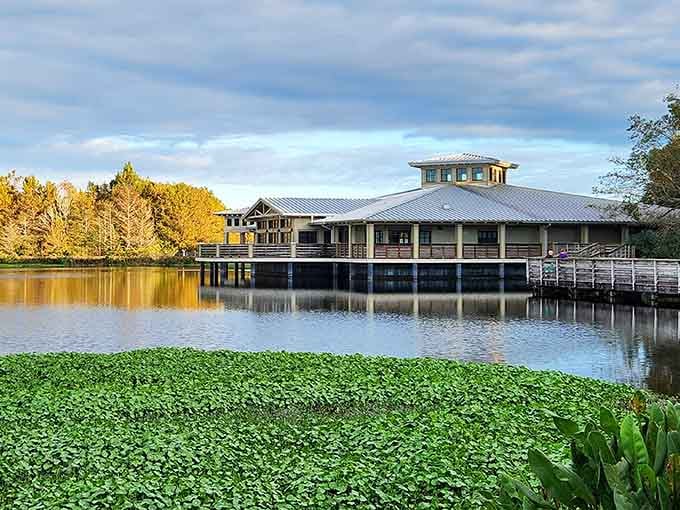 The nature center rises from the wetlands like a modern-day treehouse for grown-ups who never stopped exploring.