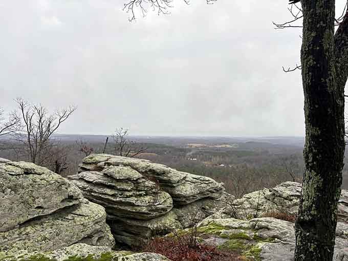 Moss-covered rocks and layered bluffs create a front-row seat to southern Illinois wilderness stretching toward distant horizons.