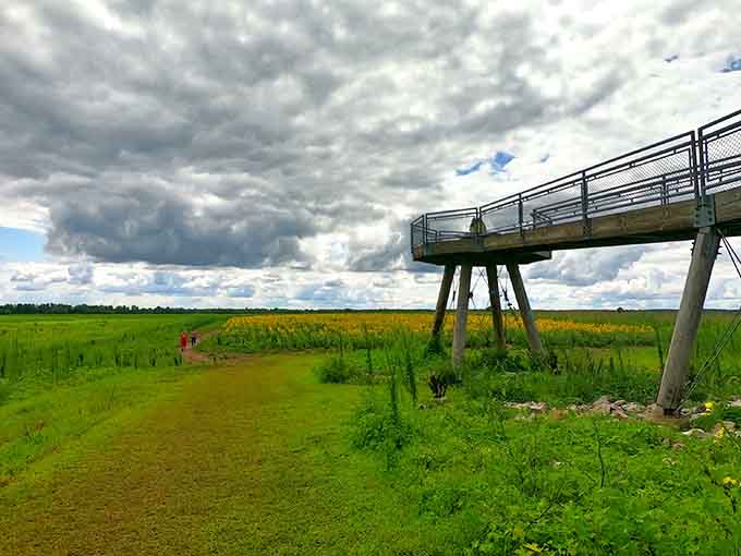 Dramatic skies meet endless green fields, proving Missouri doesn't need mountains to take your breath away completely.