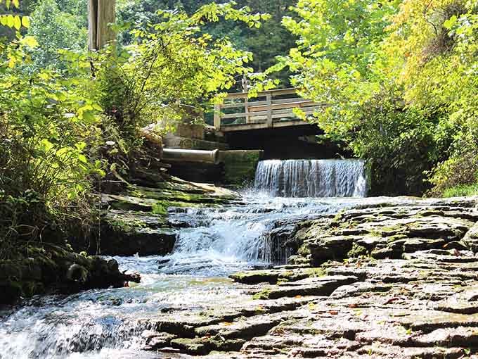 Sometimes the most magical places hide behind the most unassuming entrances in small-town Kentucky.