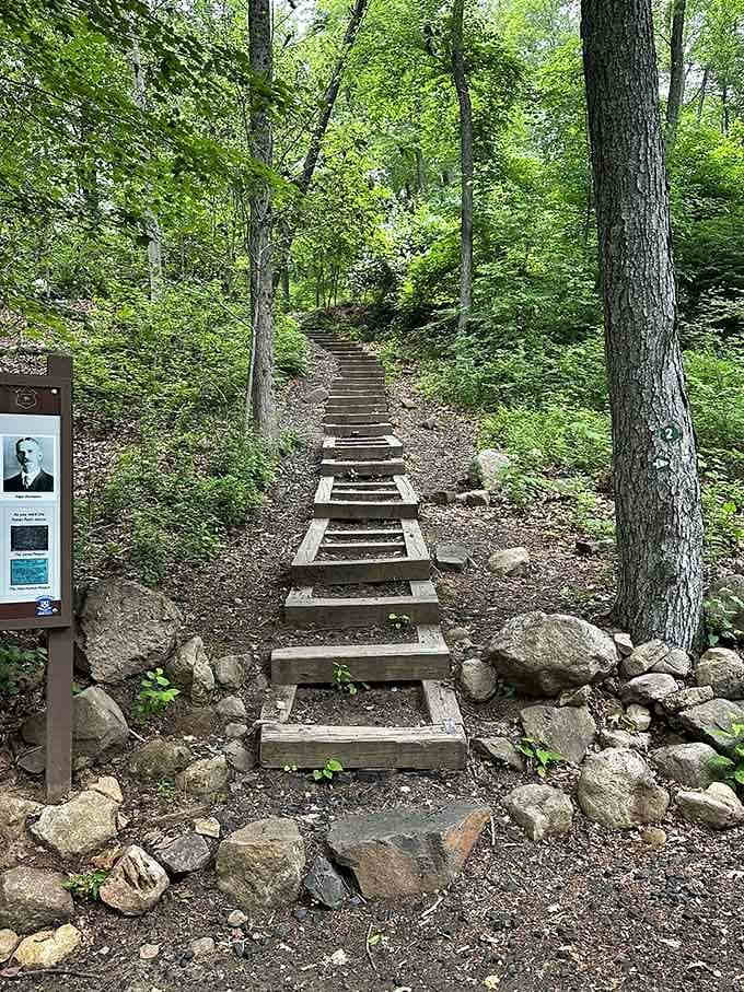 These wooden steps are your stairway to heaven, though your calves might have a different opinion halfway up.