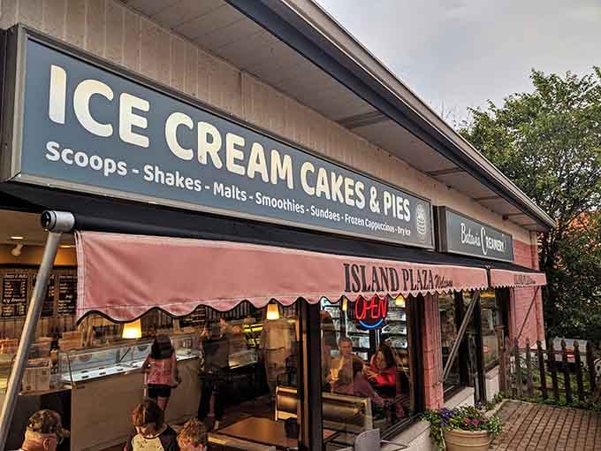 The cheerful exterior promises frozen happiness inside, and trust me, it delivers on that promise spectacularly.