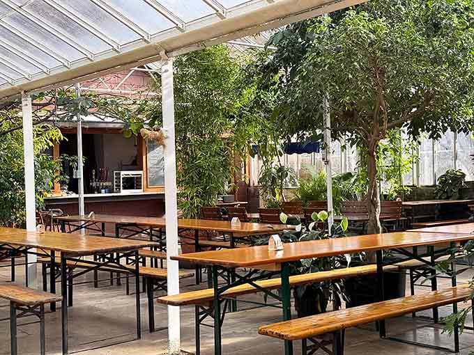 Dining under a glass ceiling surrounded by greenery feels like eating in the world's most civilized jungle, minus the mosquitoes.