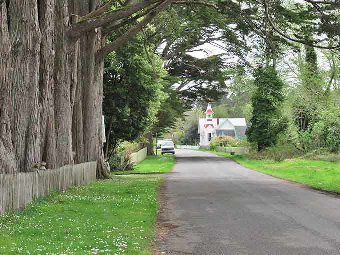 Tree-lined streets that look like they were designed by someone who actually understood the assignment.