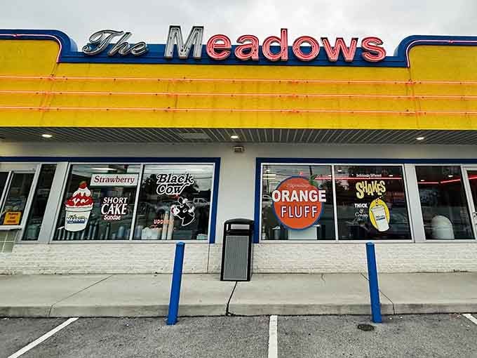 Those vintage window signs advertising Orange Fluff and Black Cow aren't just decorations, they're frozen custard poetry in action.