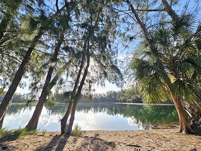 Wolf Lake Park's emerald waters mirror the sky, creating a scene that belongs on a postcard, not suburban Florida.