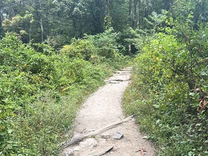The journey begins where pavement ends and adventure takes over, beckoning you into Maryland's green embrace.