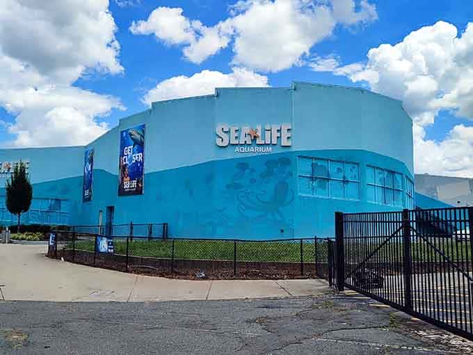 The aqua-blue exterior promises oceanic adventures inside, like a giant gift box wrapped in the color of Caribbean waters.