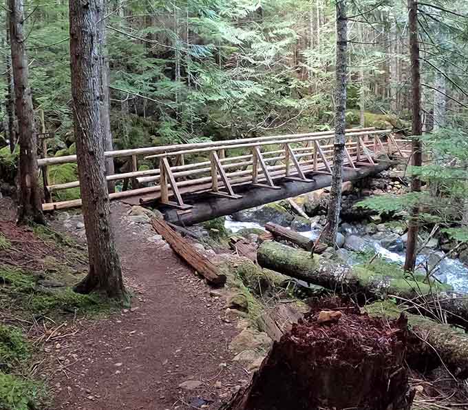 These wooden bridges aren't winning any architecture awards, but they'll keep your hiking boots dry and your dignity intact.
