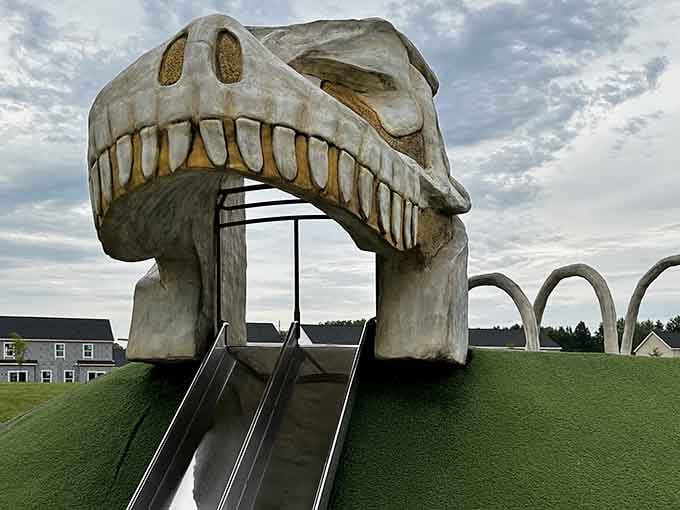 That moment when Delaware decided a T-Rex slide was exactly what the community needed, and they were absolutely right.