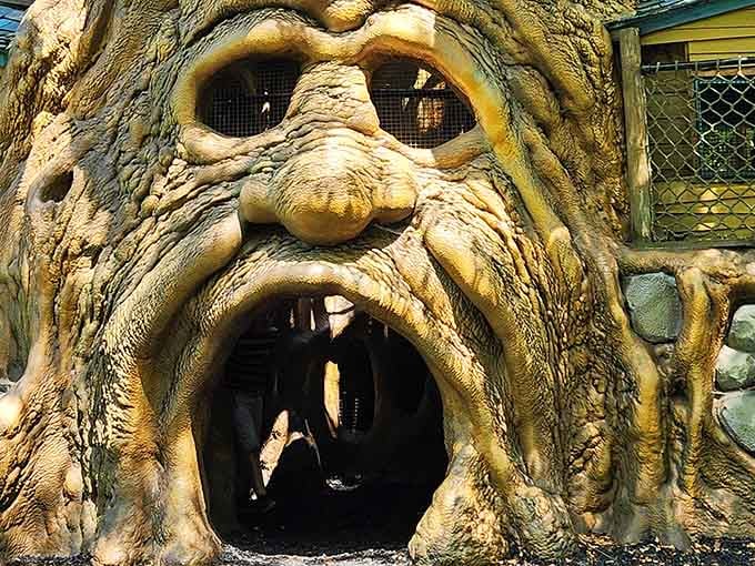That face has seen thousands of giggling children crawl through its mouth, and it's still smiling about it.