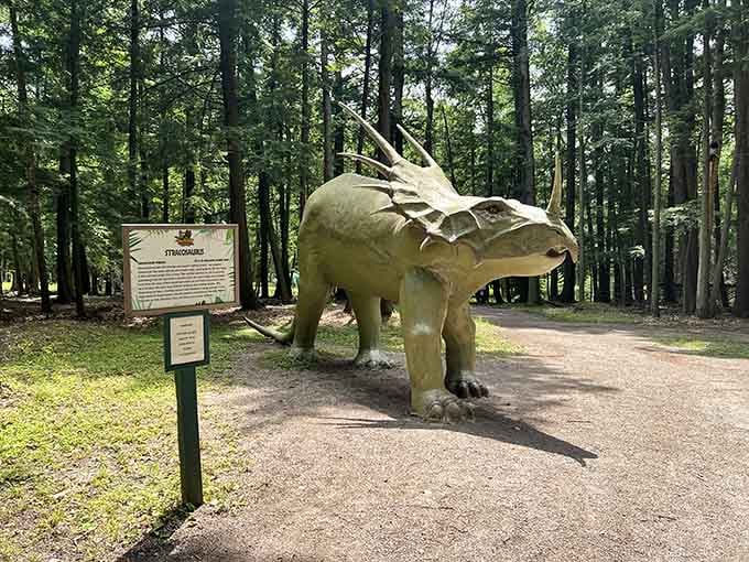 Step into a world where Jurassic Park meets roadside Americana, and everyone leaves with a smile.
