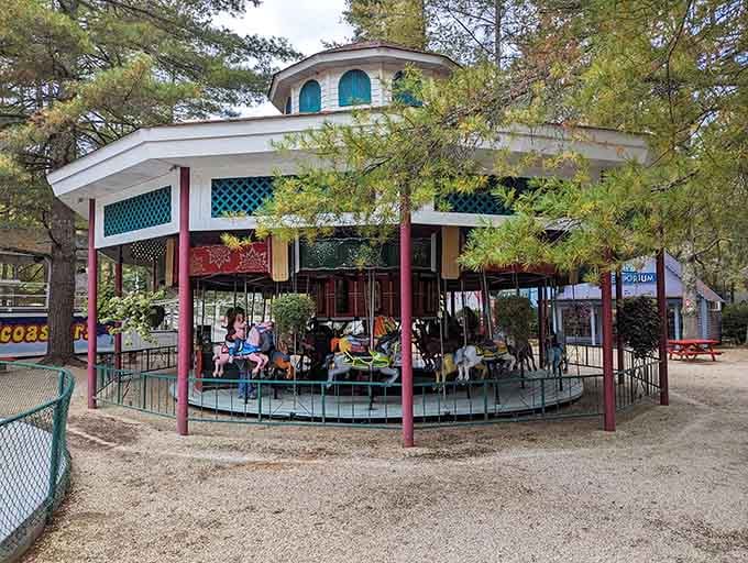Hop aboard the festive train for a cheerful ride through the park, perfect for creating lasting memories with the family.