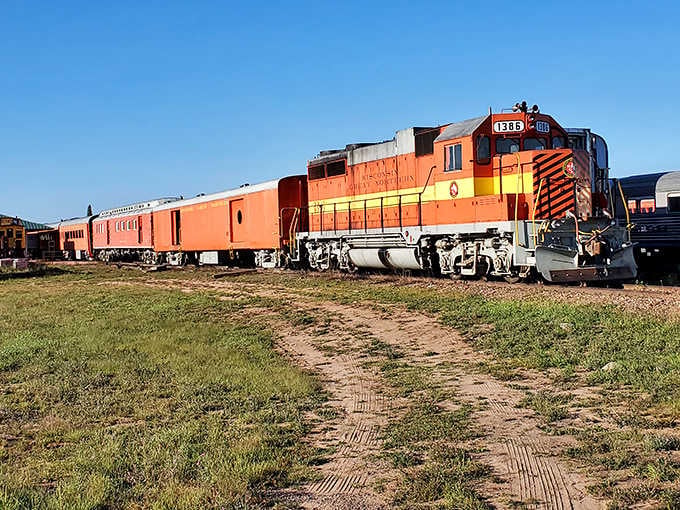 That bold orange paint scheme catches the sunlight perfectly, making the whole train look like it's ready for action.