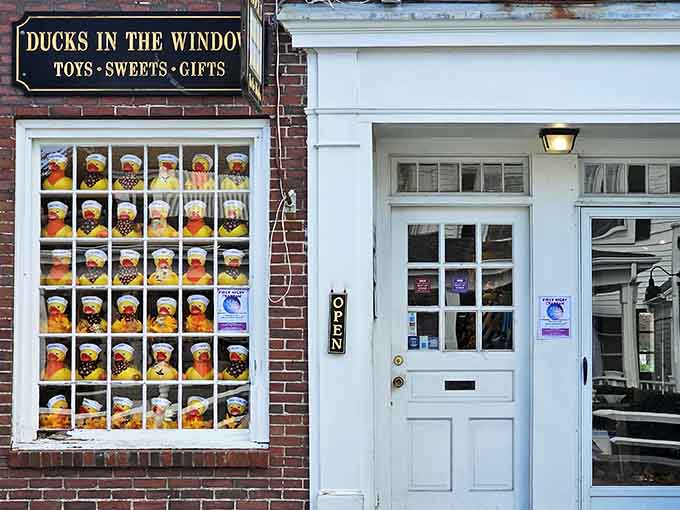 That storefront window isn't just decorated with rubber ducks, it's practically built from them in glorious formation.