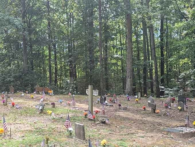 Headstones peek through the forest floor where coonhounds rest, their stories preserved in stone and surrounded by towering southern pines.
