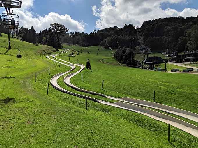 That winding track through summer green hills is your express lane to remembering what joy feels like.