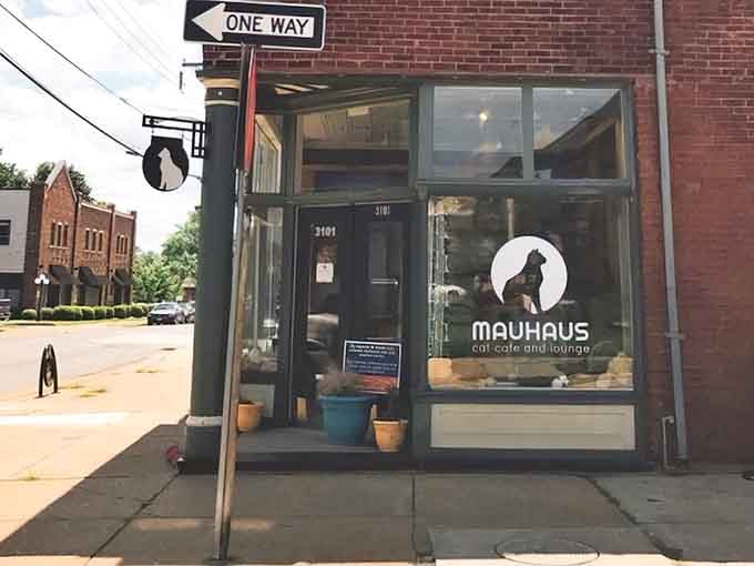 Corner charm meets feline paradise at this Maplewood gem where coffee culture gets a whisker-twitching upgrade.