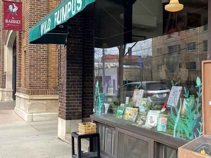 Notice how the storefront invites you closer, like the best stories do, with windows full of colorful possibilities.