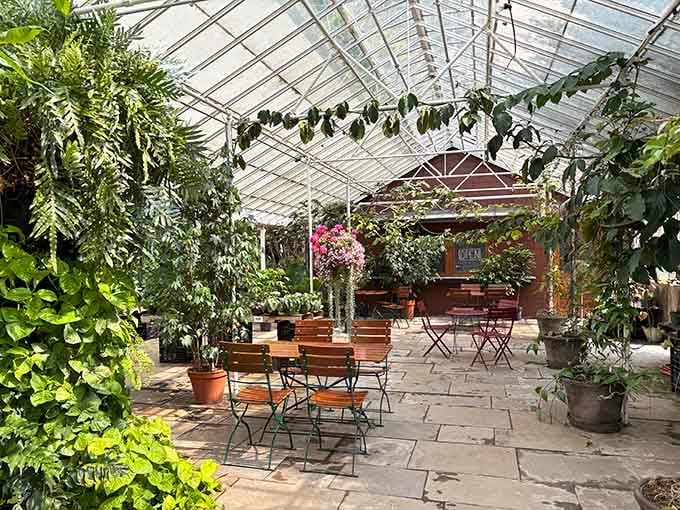 Beer garden vibes meet greenhouse magic, where picnic tables and potted trees create the perfect excuse to linger over lunch indefinitely.
