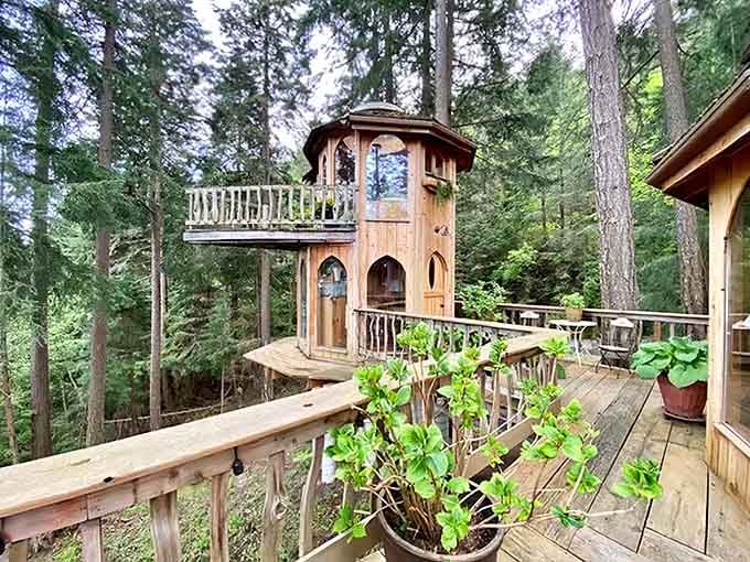 Those arched windows and curved wooden walls aren't just architecture, they're an invitation to step into another world entirely.