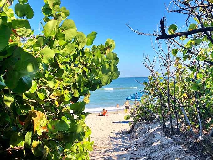 This sandy pathway proves that the journey to paradise can be just as beautiful as the destination.