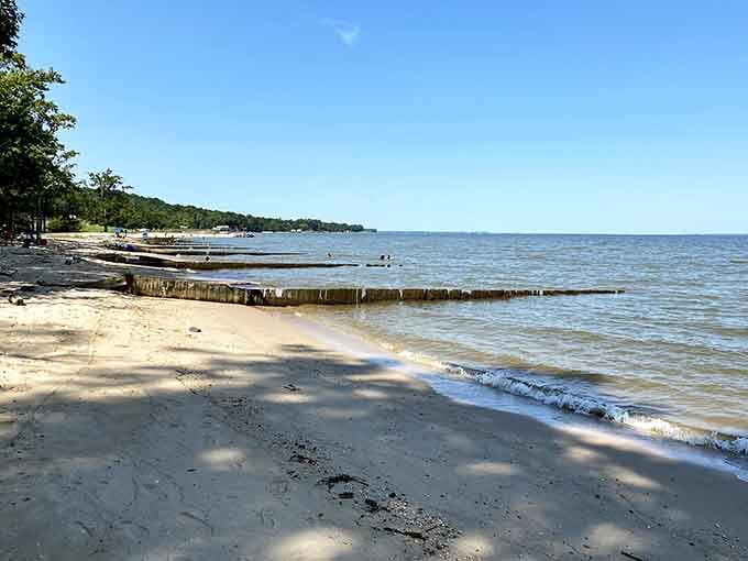 That pier isn't just for fishing, it's your gateway to one of Virginia's most underrated natural wonders.