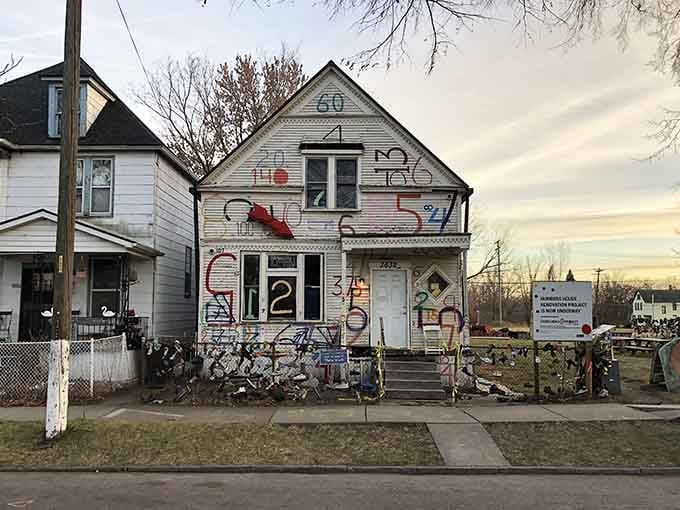 Sunset casts golden light on this artistic rebellion, proving that beauty emerges from the most unexpected urban corners.