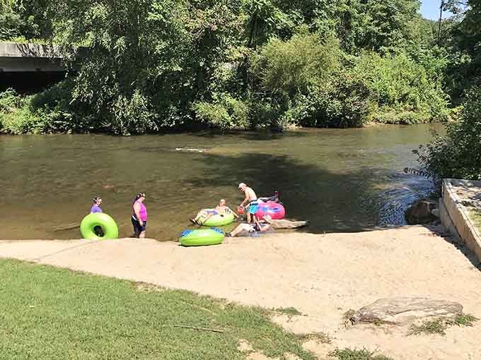 Lush forest frames the river like nature's own postcard while tubes drift lazily through the perfect scene.