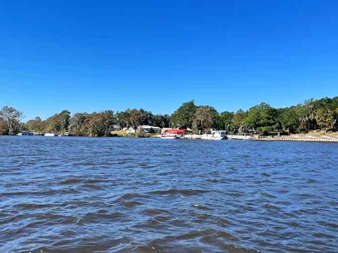 The Waccamaw River wraps around Sandy Island like nature's own moat, keeping the modern world at bay.