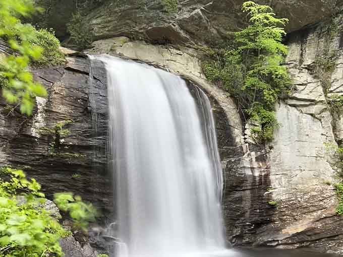 Sixty feet of pure mountain magic cascading over ancient rock like nature's own grand entrance.