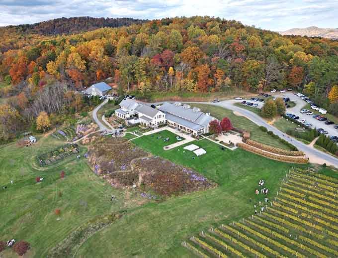 When Virginia decides to show off, this is what it looks like from above.