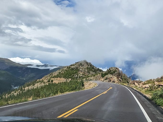 Watch the pavement ribbon through alpine tundra where clouds dance at eye level and trees surrender to altitude.