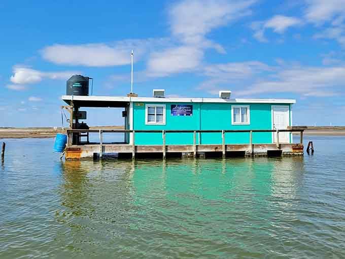Crystal-clear waters meet your floating retreat, where the only traffic jam involves curious dolphins passing by.