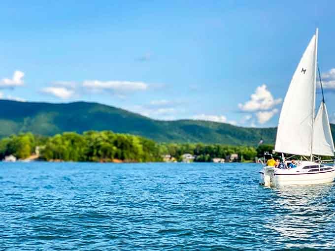 When mountains meet water like this, you start understanding why people write poetry about Virginia's landscapes.