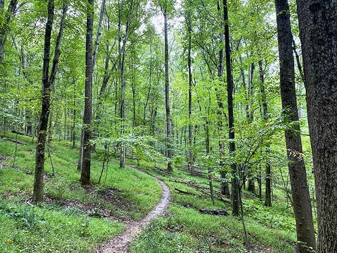 These winding trails through Seneca Creek's forests are where nature shows off year-round, no admission required.
