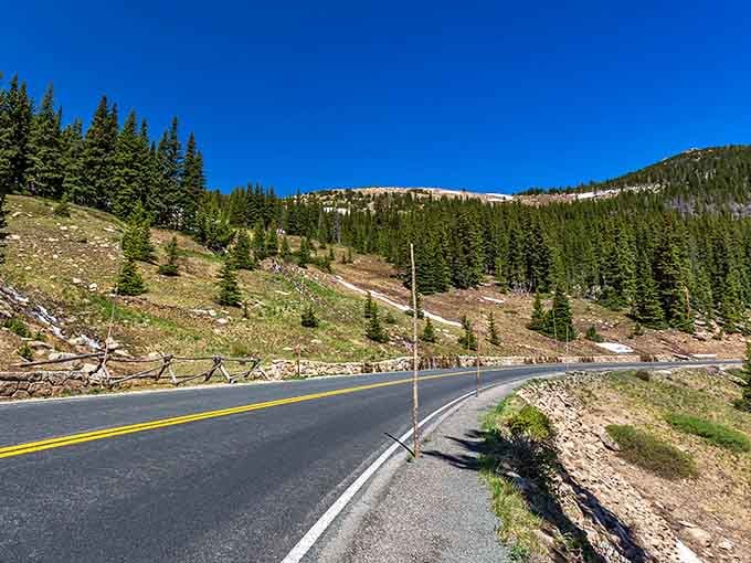 That perfect ribbon of asphalt winding through alpine meadows where lingering snow patches remind you summer's just a rumor up here.