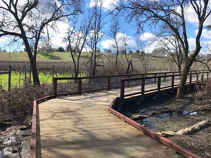 Cross this charming wooden bridge where vineyards meet babbling creeks and winter skies paint California dreams.