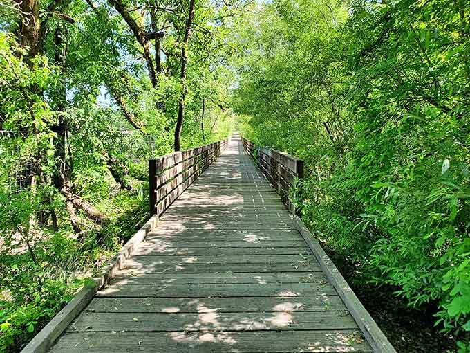 Spring transforms the trail into an emerald cathedral where sunlight dances through leaves like nature's own disco ball.
