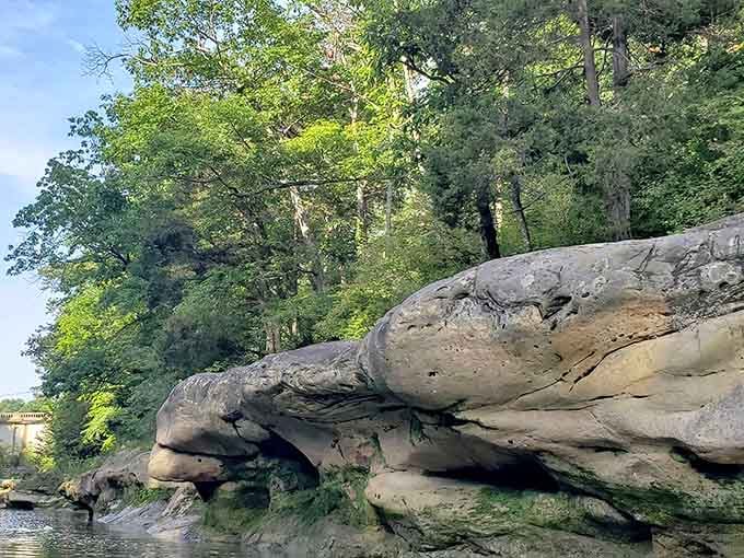 These sculpted sandstone formations prove that water and time are the ultimate artists in residence.