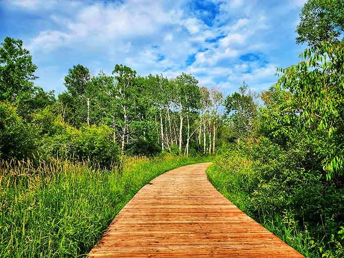 Those boardwalks aren't just for show&mdash;they're your golden ticket into Minnesota's wild side without the mud-caked shoes.