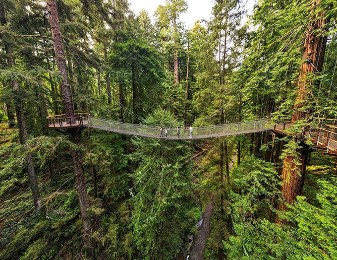 That gentle sway reminds you you're definitely not on solid ground anymore, and somehow that's thrilling.