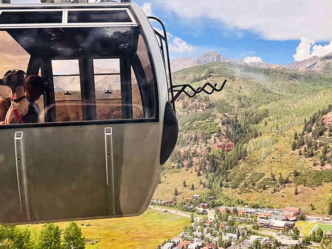 Free transportation with views that would cost thousands anywhere else? Telluride basically invented the ultimate happy hour commute.