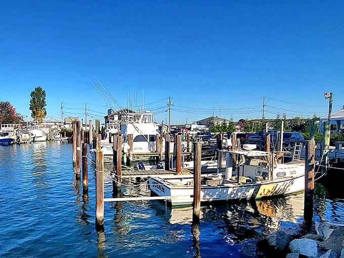 Marina life meets small-town charm where the boats outnumber the egos by a comfortable margin.