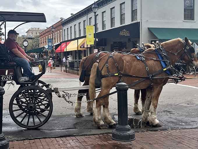 Your chariot awaits, complete with genuine horsepower and zero emissions, ready to transport you through Savannah's storied streets.